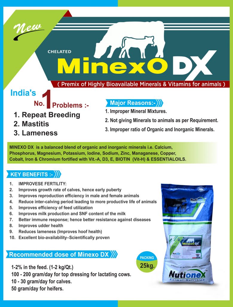 Minexo DX ( Premix of Highly Bioavailable Minerals & Vitamins for ...